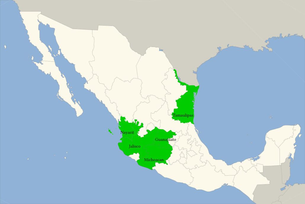 Mezcal. Part 7: Tequila – history and legal requirements – Bar-Vademecum